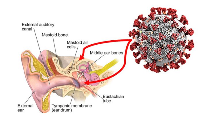 How to Palpate the Mastoid Bone Behind Ear - Sharing is Power | Ngumpi